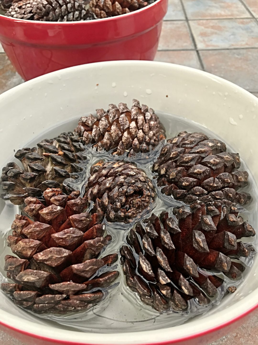 How To Treat Outdoor Pine Cones For Crafts - Jaclyn James Company